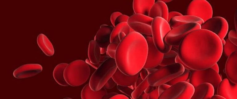 How To Increase Red Blood Cell Count Naturally? - High Rated Gabru