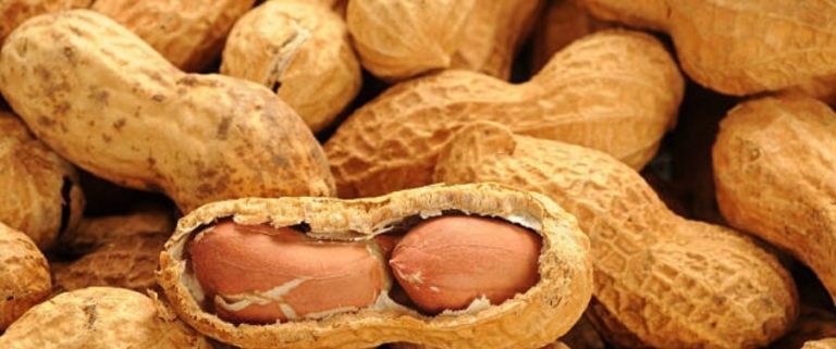 10 Amazing Health Benefits of Peanuts - High Rated Gabru