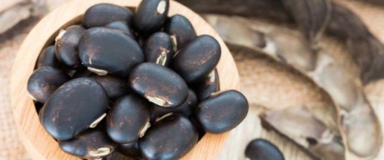 Mucuna Pruriens (Kaunch Seeds): 10 Biggest Health Benefits - High Rated ...