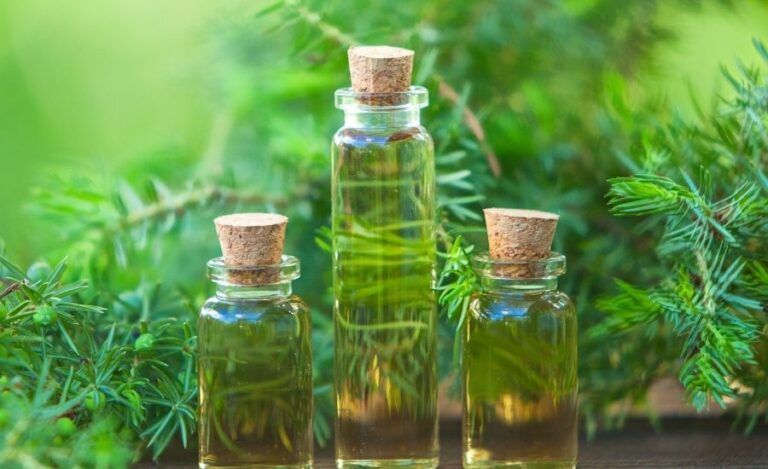 20 Proven Home Remedies to Treat Urinary Tract Infections (UTIs) - High ...