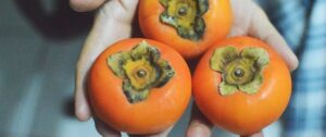 Persimmon Fruit: Benefits, Nutritional Facts and Side Effects - High ...