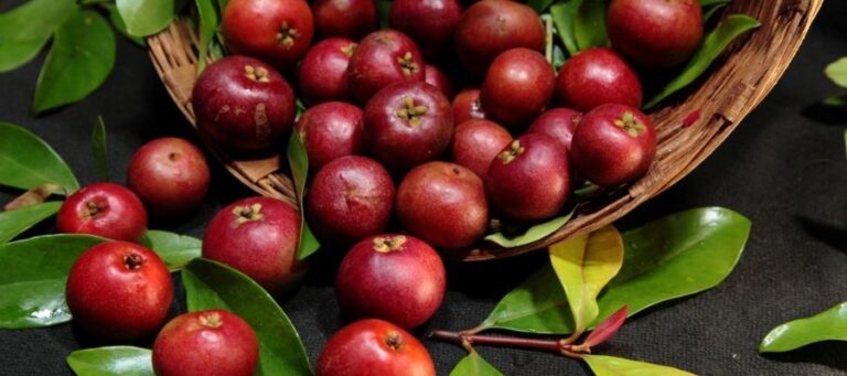 12 Health benefits of kokum (Garcinia indica) - High Rated Gabru