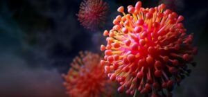 Powassan virus (POWV): Causes, symptoms, prevention and treatments ...