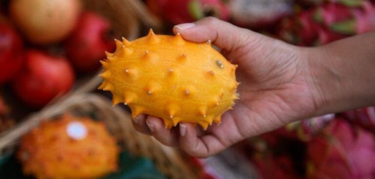Horned melon (kiwano): Health benefits, nutrition and how to eat this ...